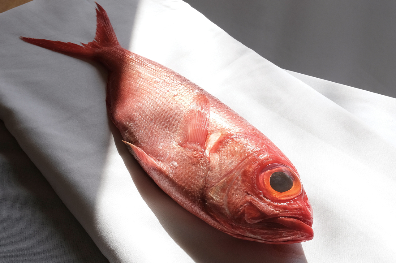 On the Cover – dsm Jan/Feb 2026 – dsm magazine